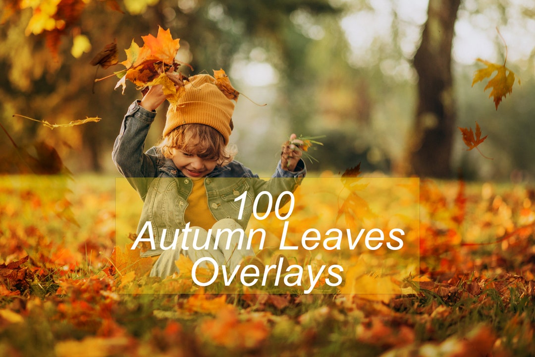 100 Autumn Leaves Photoshop Overlays, Falling Leaves Autumn Fall ...