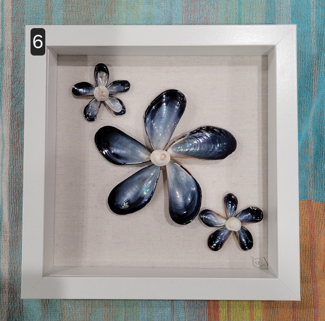 Assorted Clam/mussel Shell Art - Etsy