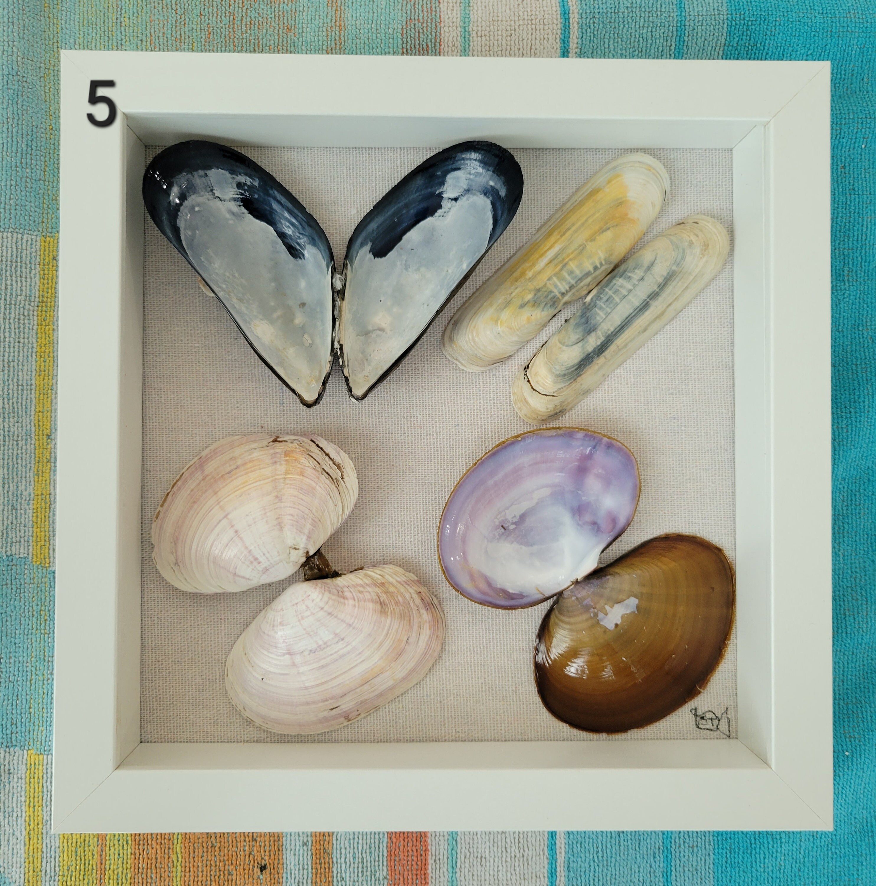 Assorted Shell Art - Etsy