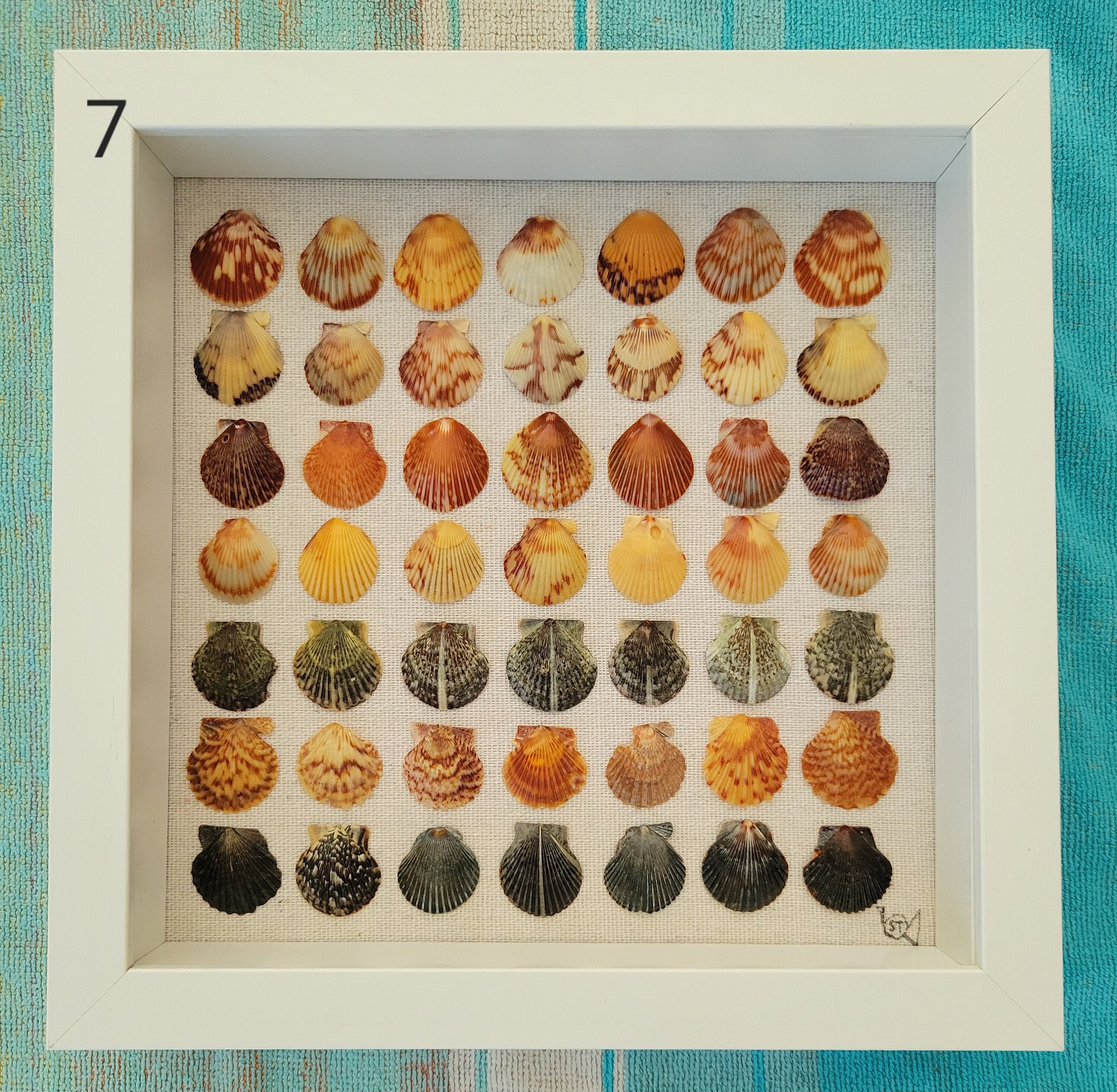 Scallop Shell Art - Etsy