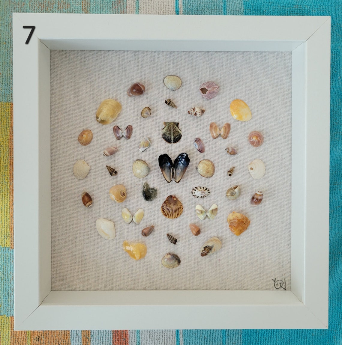 Assorted Shell Art - Etsy