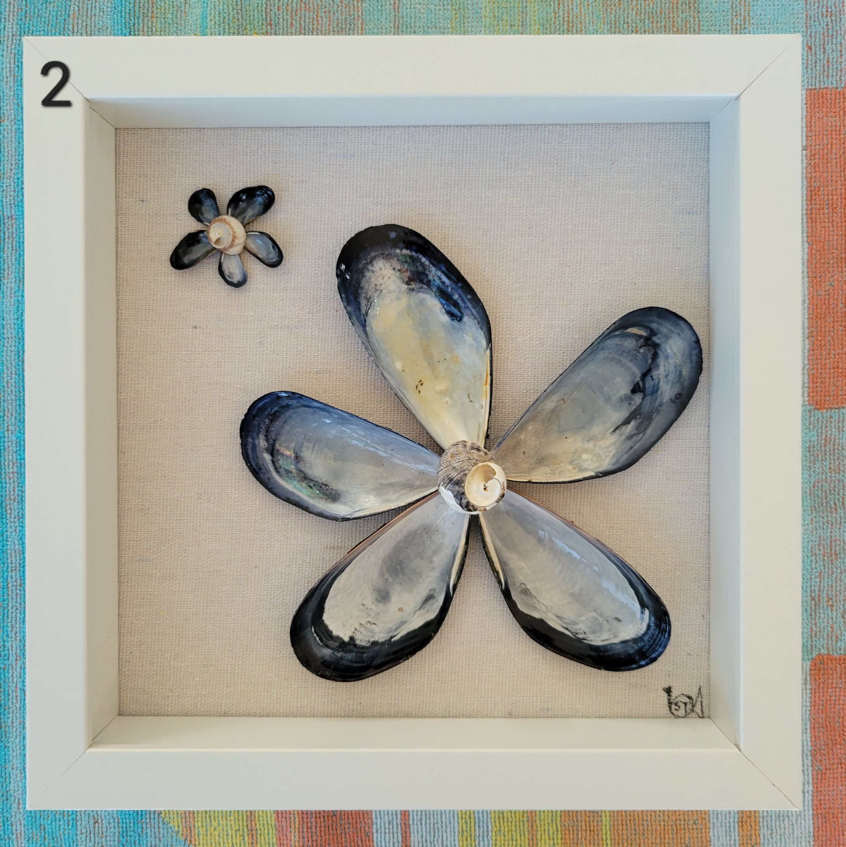Assorted Clam/mussel Shell Art - Etsy