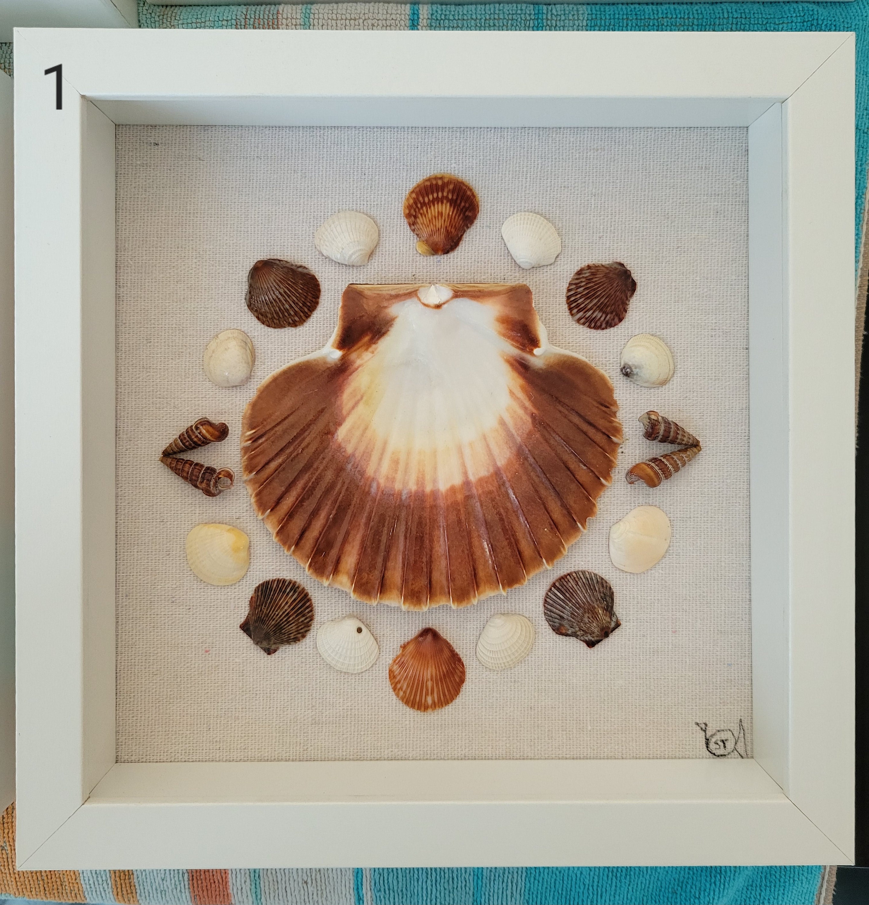 Scallop Shell Art - Etsy
