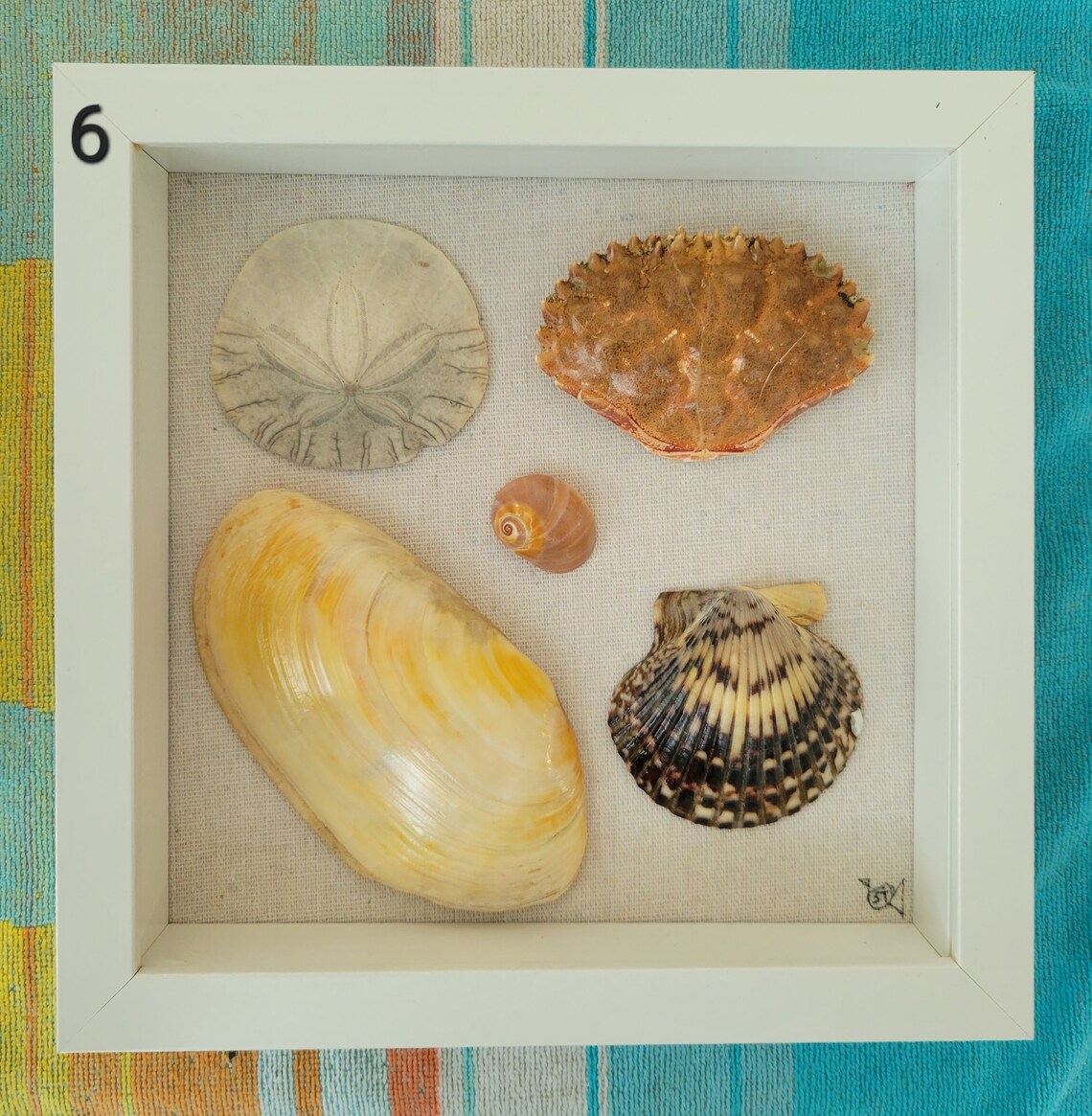 Assorted Shell Art - Etsy