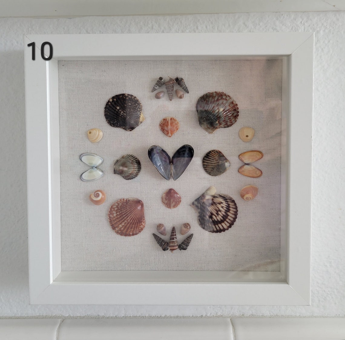 Assorted Shell Art - Etsy