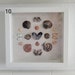 Assorted Shell Art - Etsy