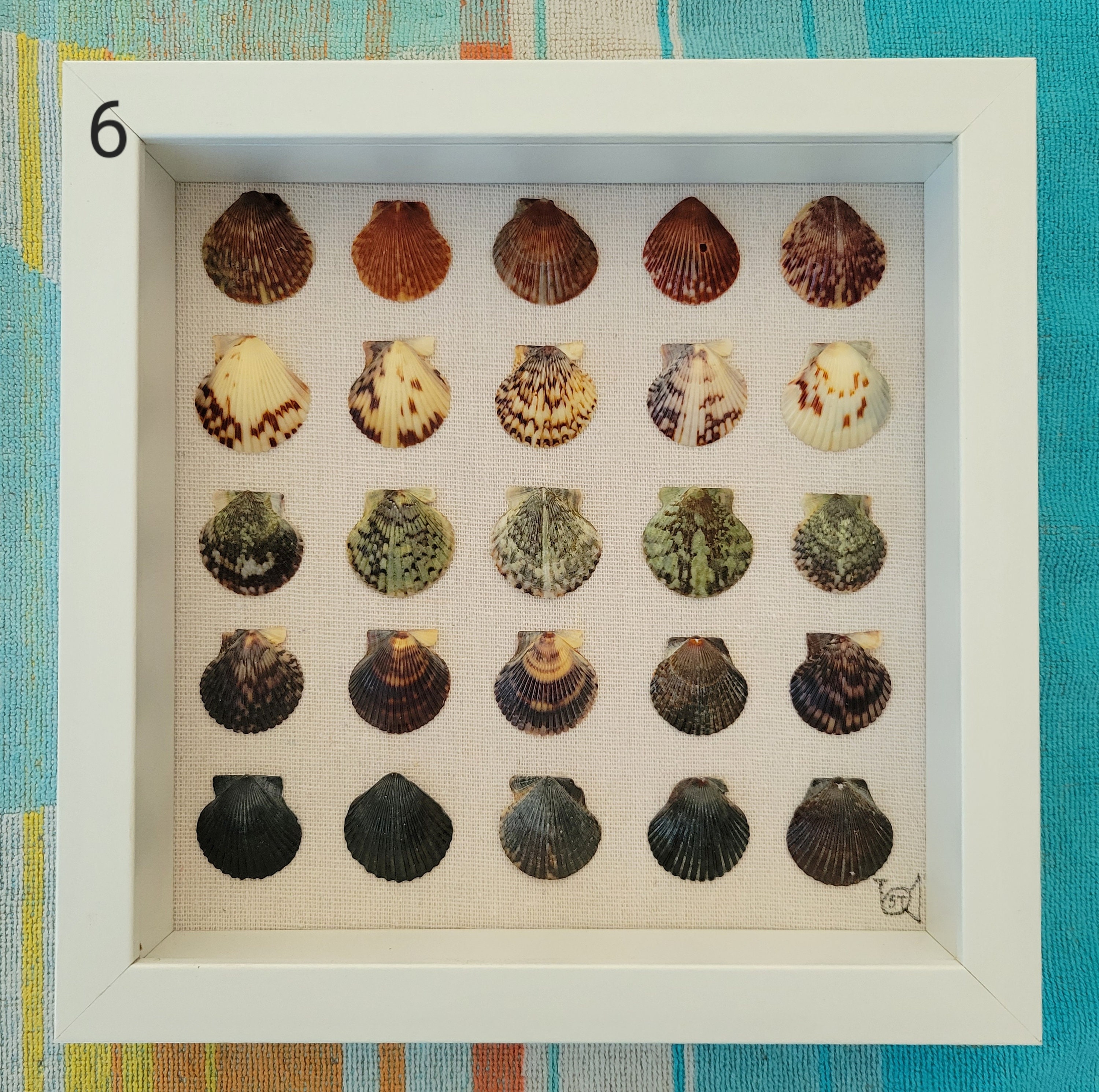 Scallop Shell Art - Etsy