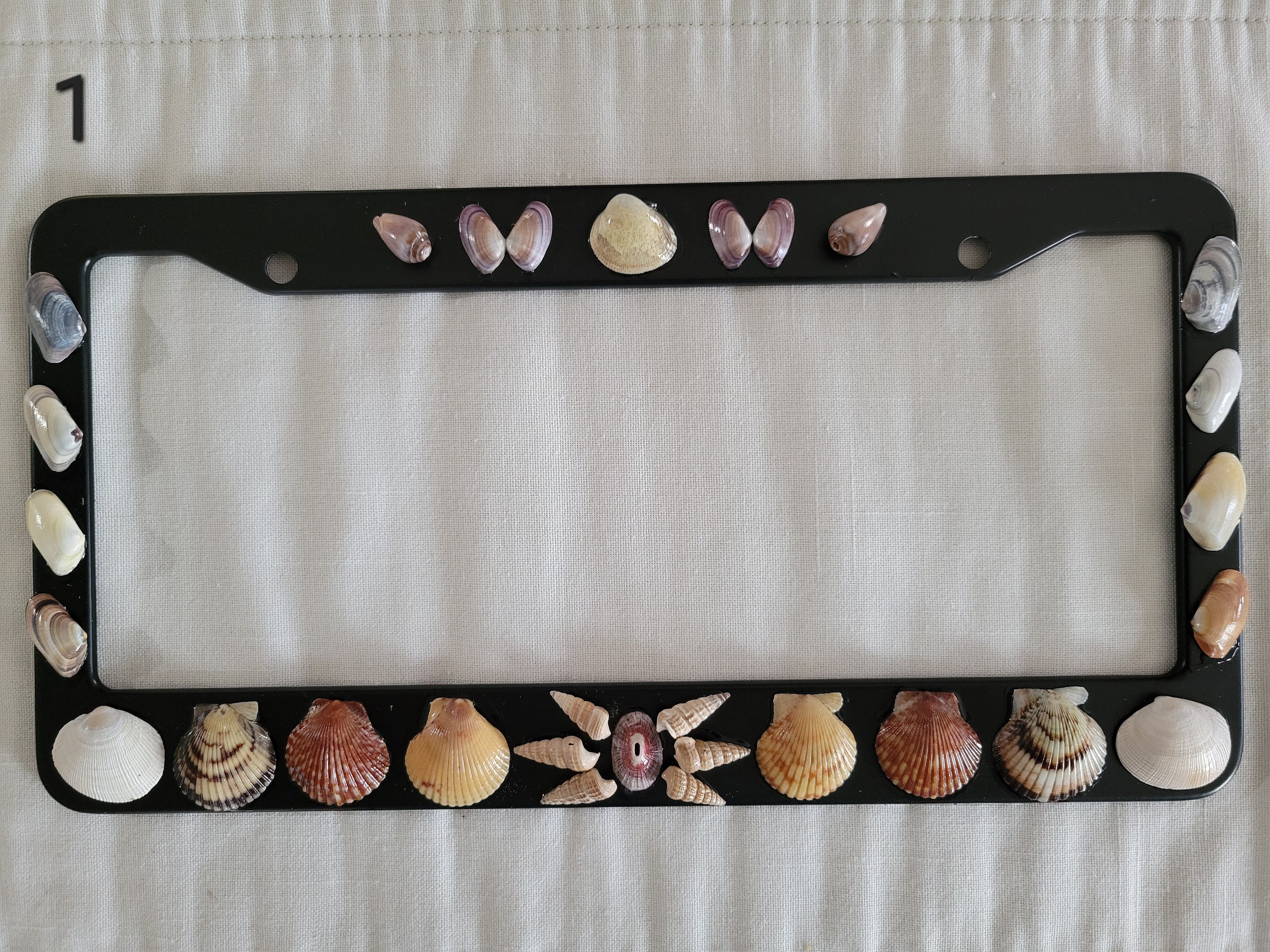 Shell Decorated License Plate Frames - Etsy