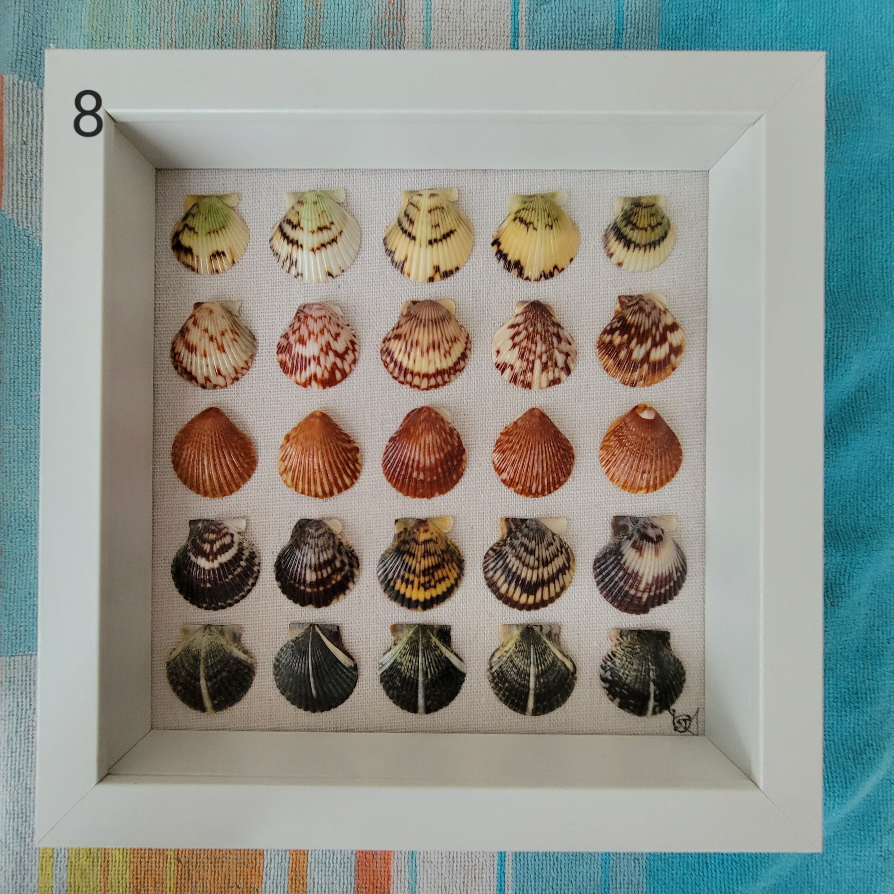 Scallop Shell Art - Etsy