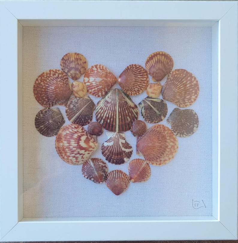 Assorted Shell Art 3 - Etsy