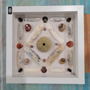 Assorted Shell Art 2 - Etsy