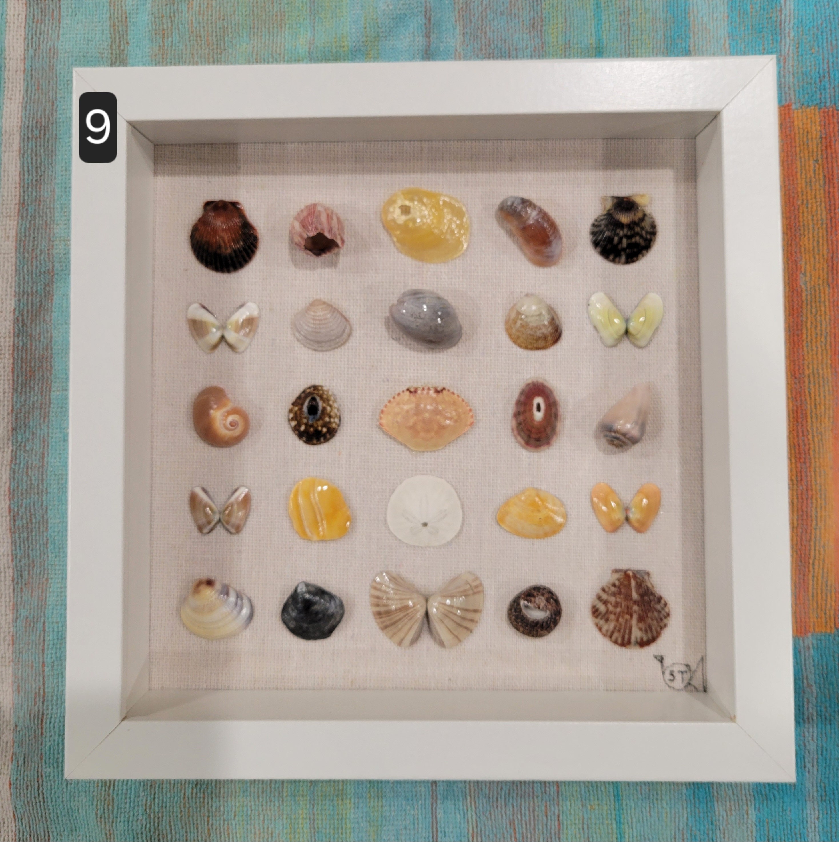Assorted Shell Art 2 - Etsy