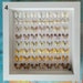 Coquina Shell Art - Etsy