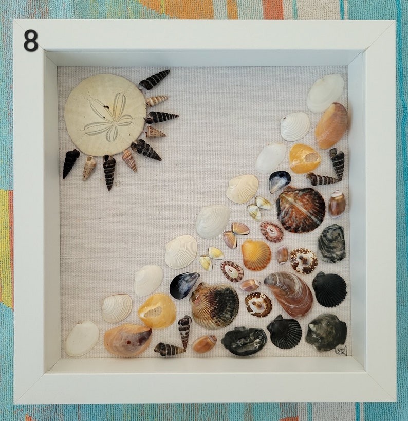 Assorted Shell Art - Etsy