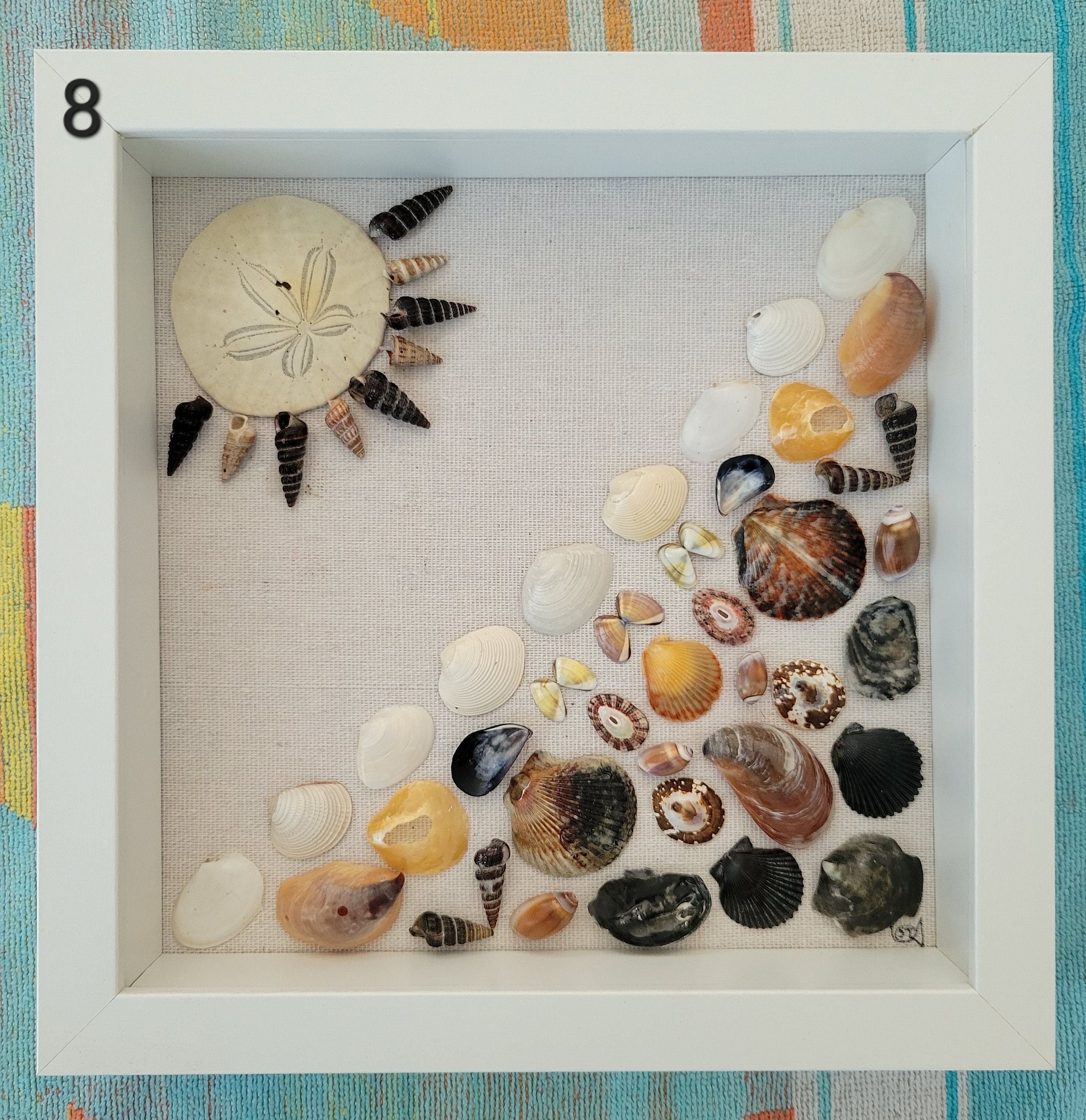 Assorted Shell Art - Etsy