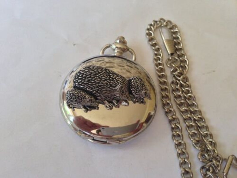 A46 Hedgehog Family Polished Silver Case Men's GIFT Quartz Pocket Watch ...