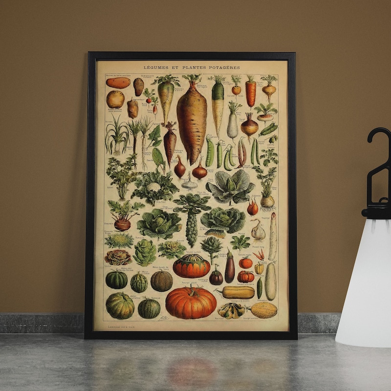 Vegetable Poster - Etsy