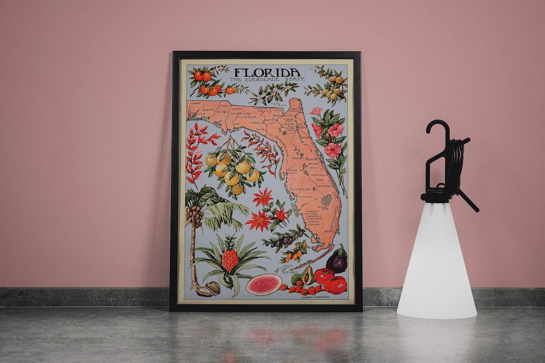 Vintage Florida Map Poster: 1917 Natural Resources Canvas - Etsy
