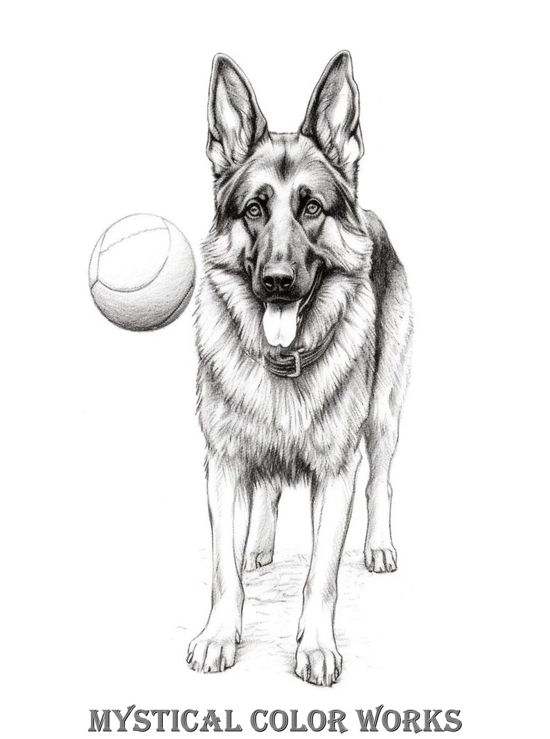 Coloring Pages, Pretty Girls, Queen, Princess, Dogs, Pets, Cats ...