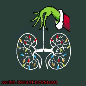 Kidney Christmas Lights Png, Christmas Nurse Png, Christmas Dialysis ...