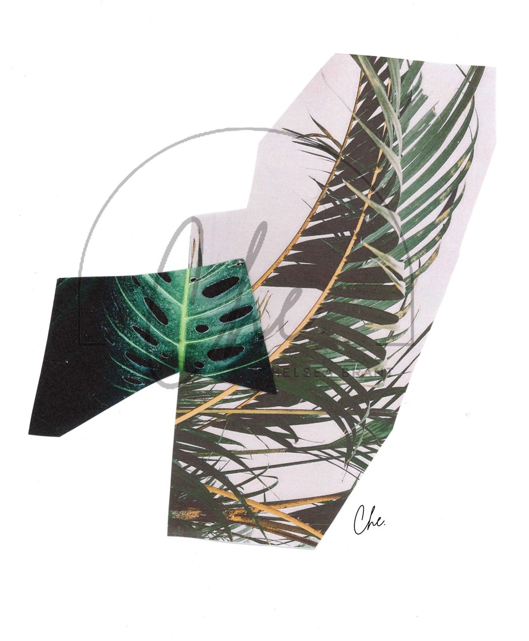 Digital Download Plant Collage Art Print Palm Leaf - Etsy
