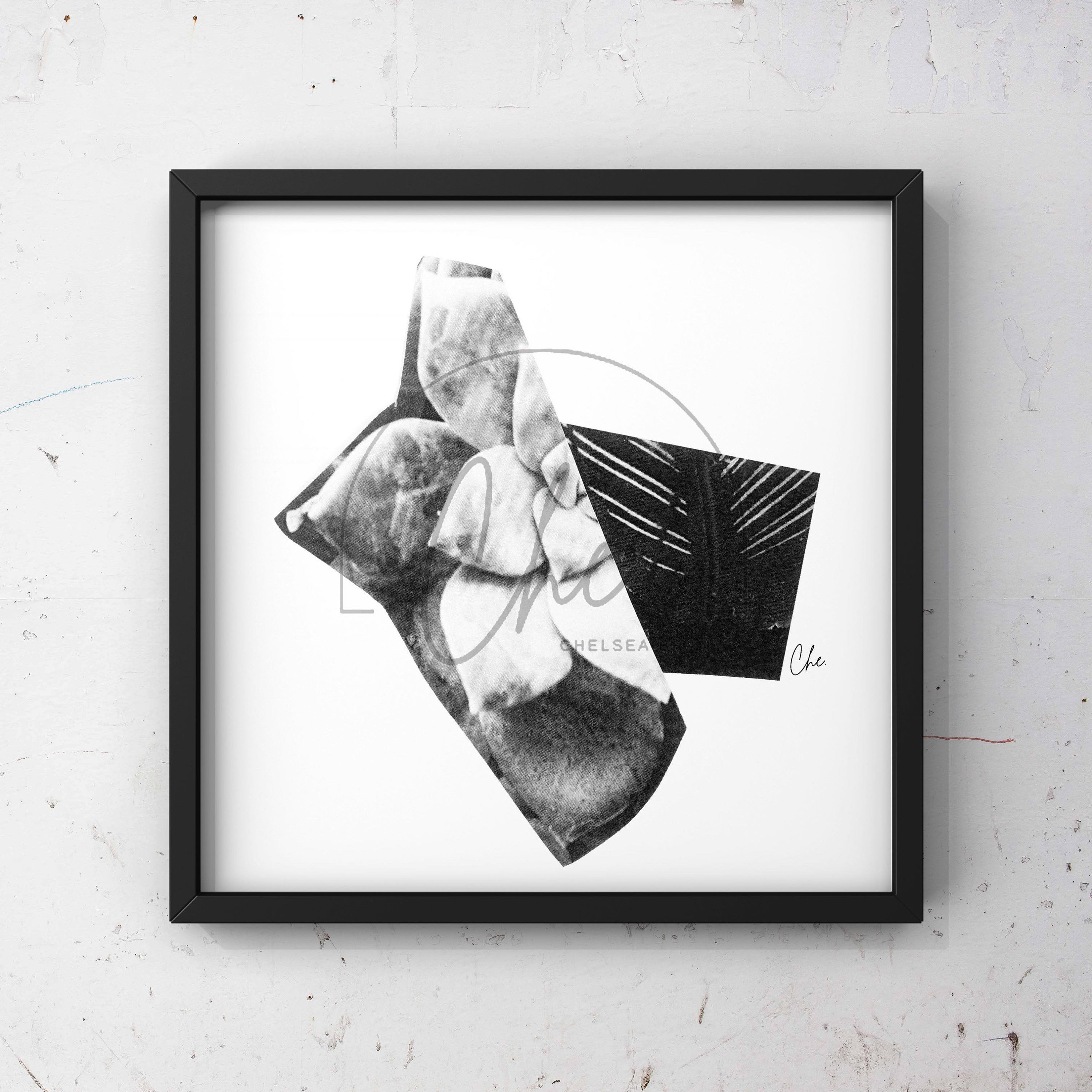 Digital Download Plant Collage Art Print Succulent and Foliage Black ...