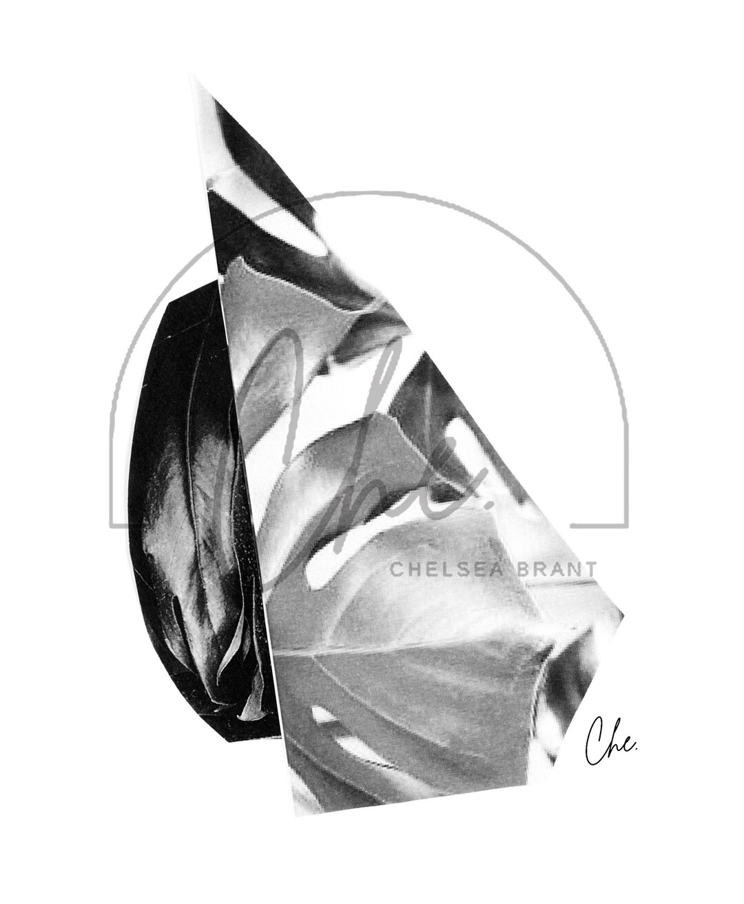 Digital Download Plant Collage Art Print Monstera Leaf Black and White ...