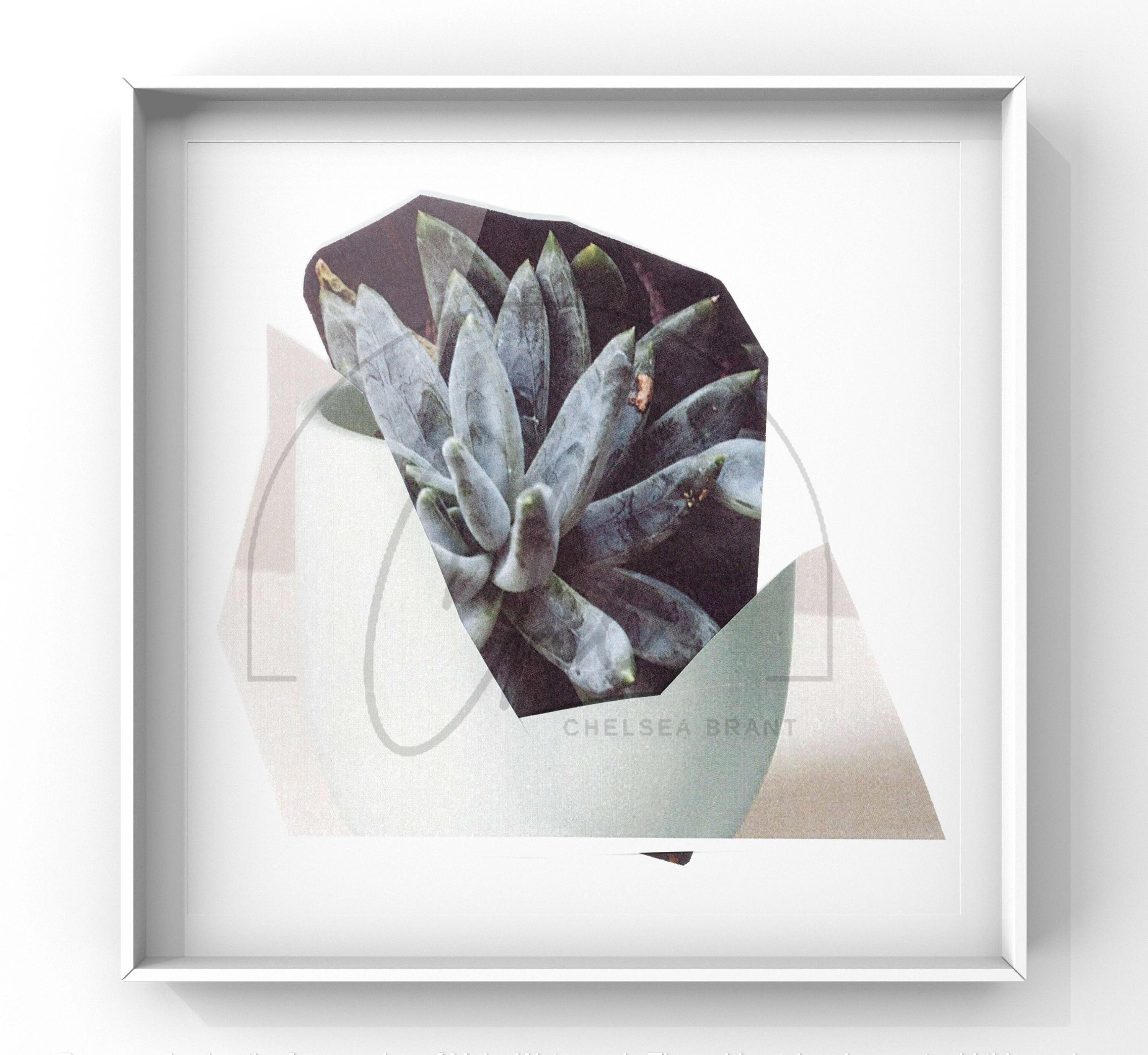 Digital Download Plant Collage Art Print Succulent in Pot - Etsy Australia
