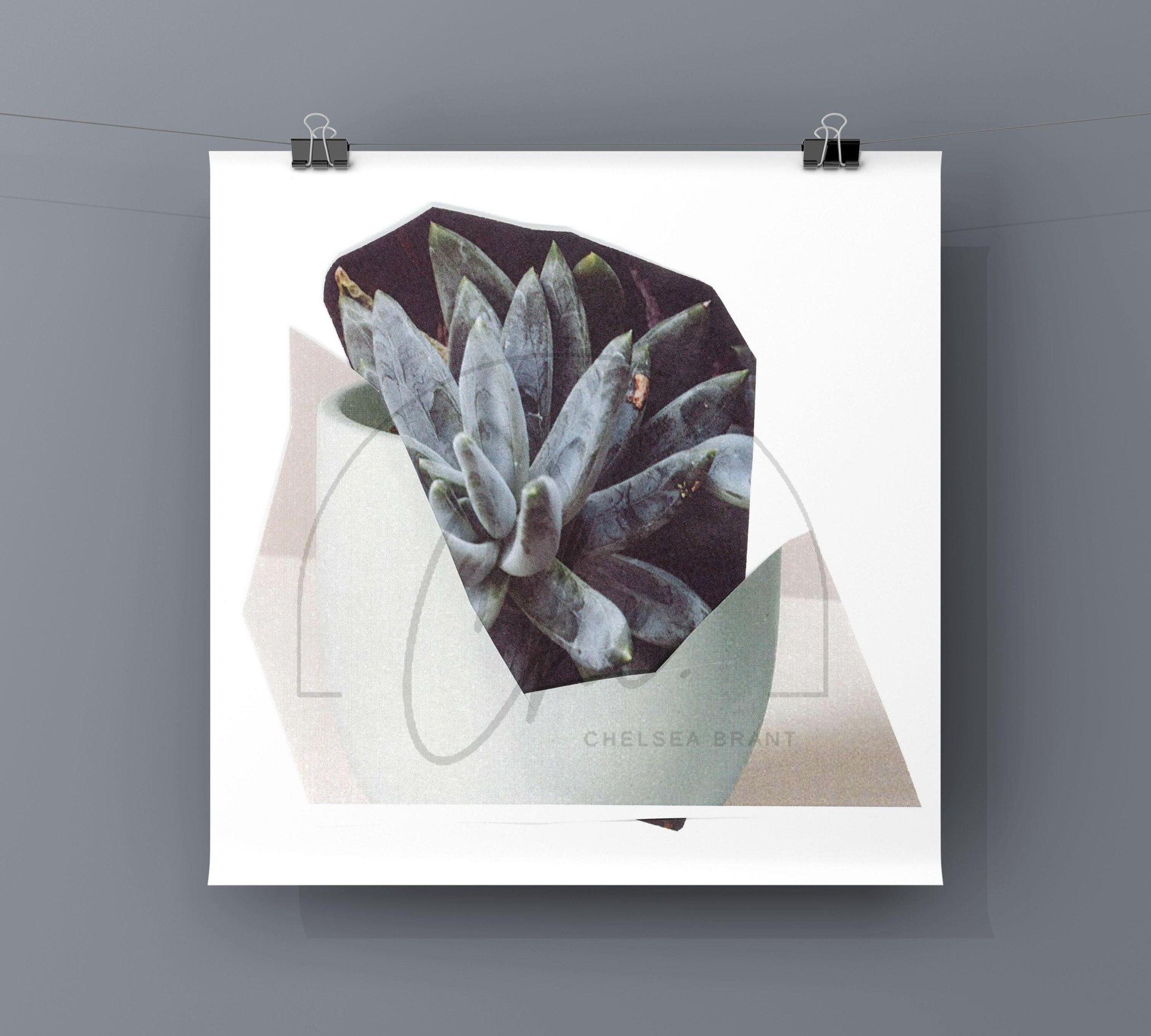 Digital Download - Plant Collage Art Print - Succulent in Pot - Etsy ...