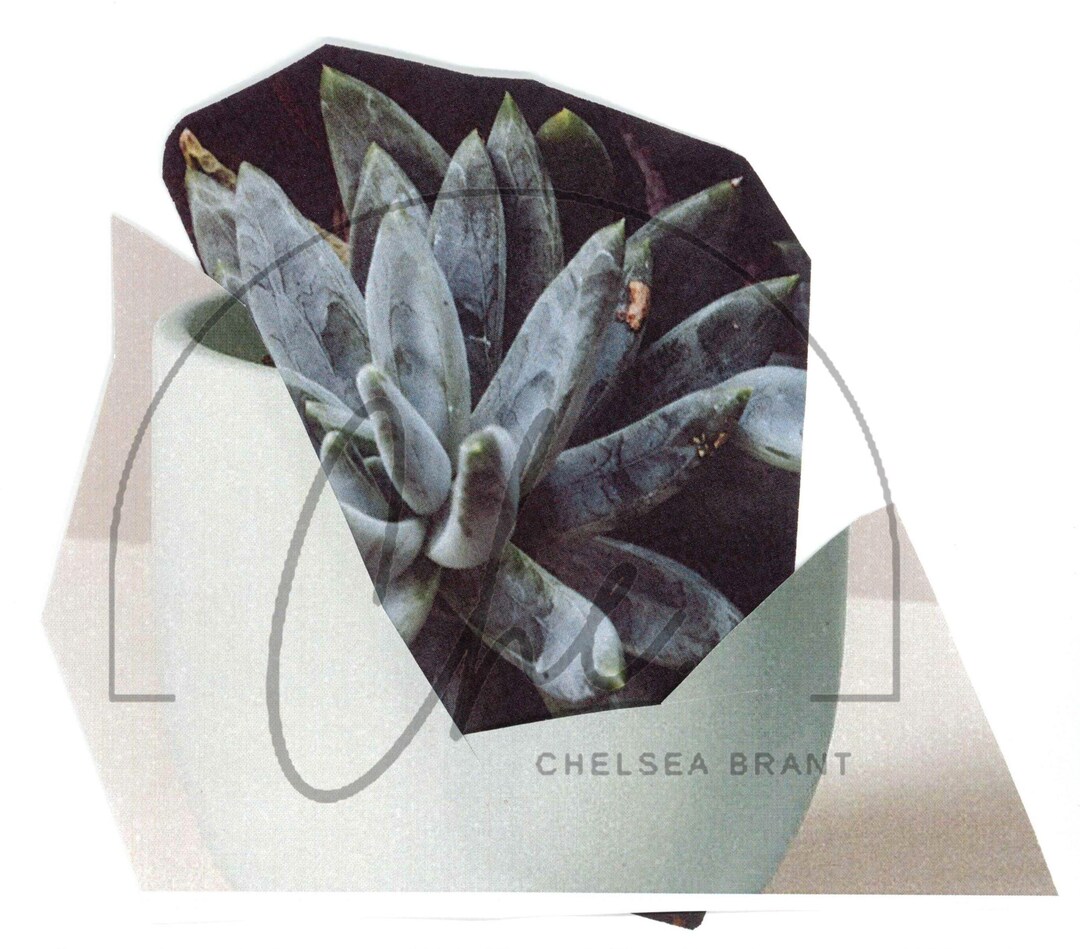 Digital Download - Plant Collage Art Print - Succulent in Pot - Etsy ...