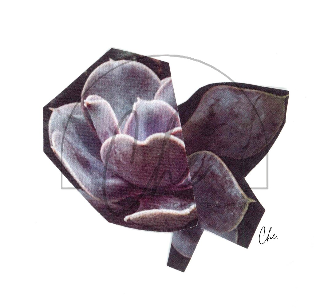 Digital Download Plant Collage Art Print Purple Succulent - Etsy