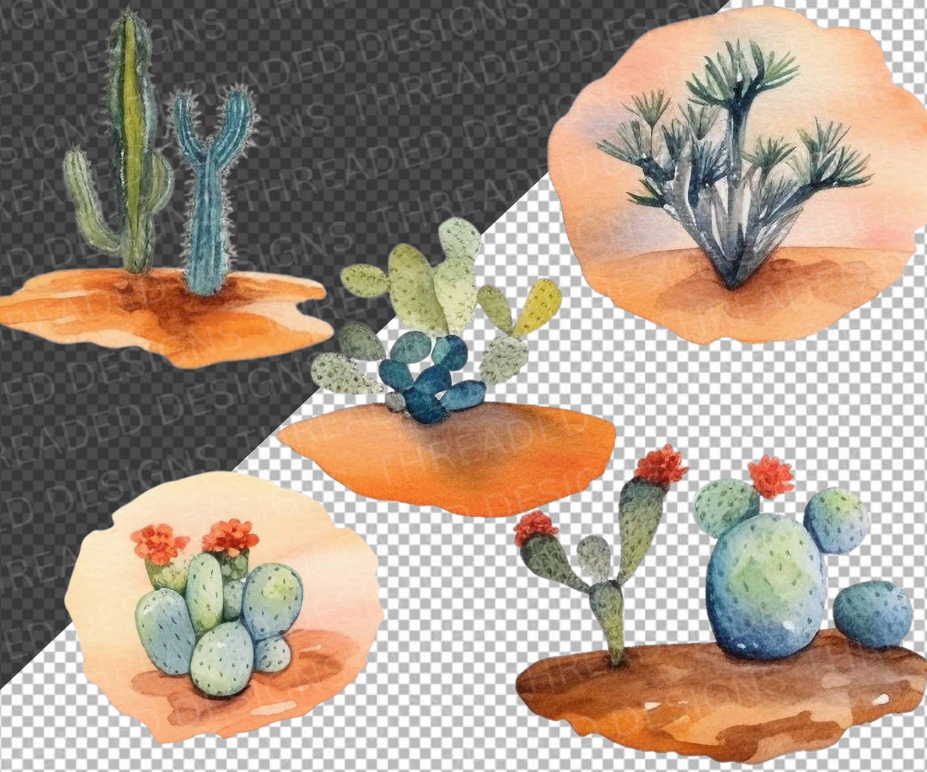 Watercolor Cactus Clipart Bundle, Cactus Bundle PNG, Desert Clipart ...