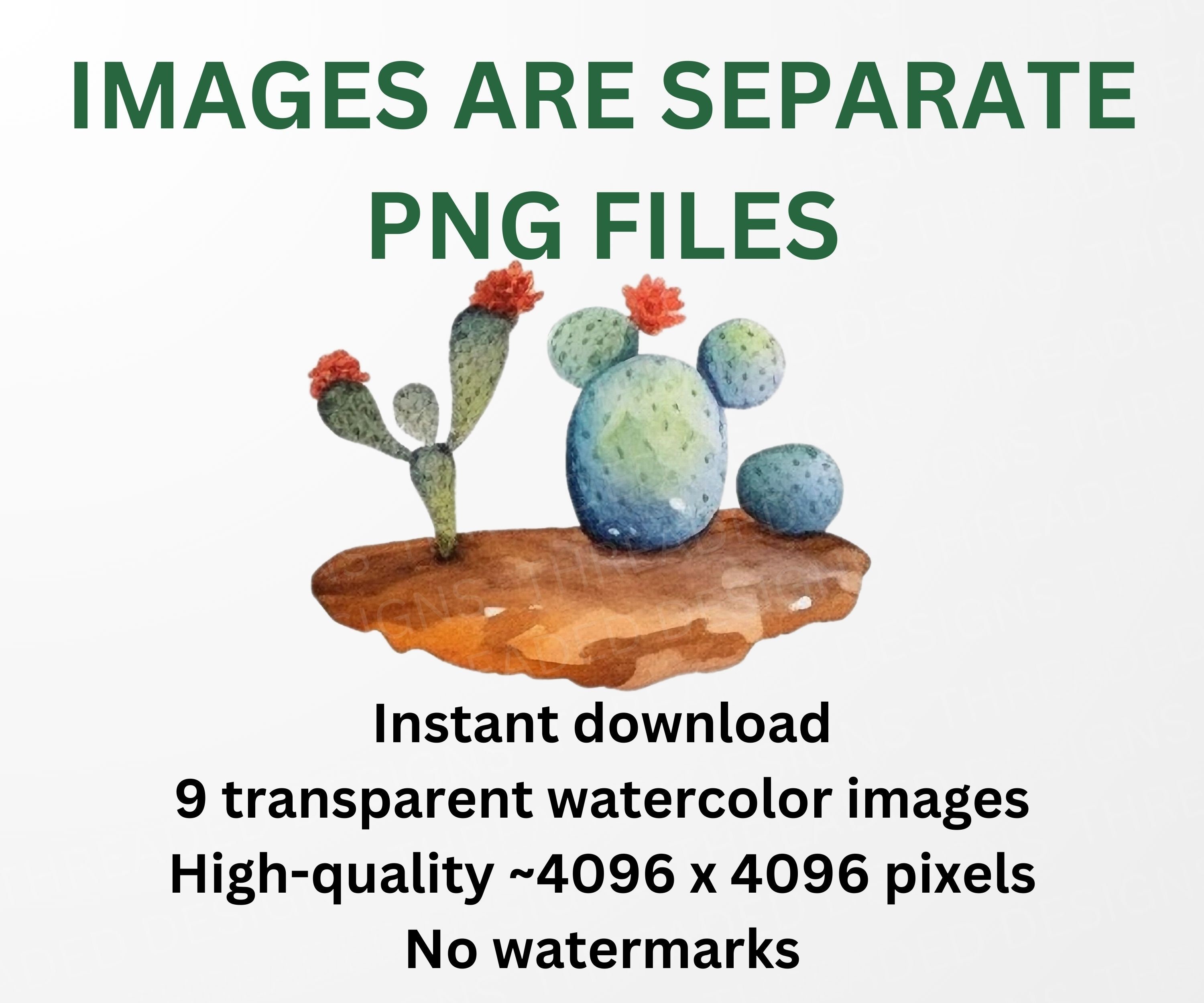 Watercolor Cactus Clipart Bundle, Cactus Bundle PNG, Desert Clipart ...