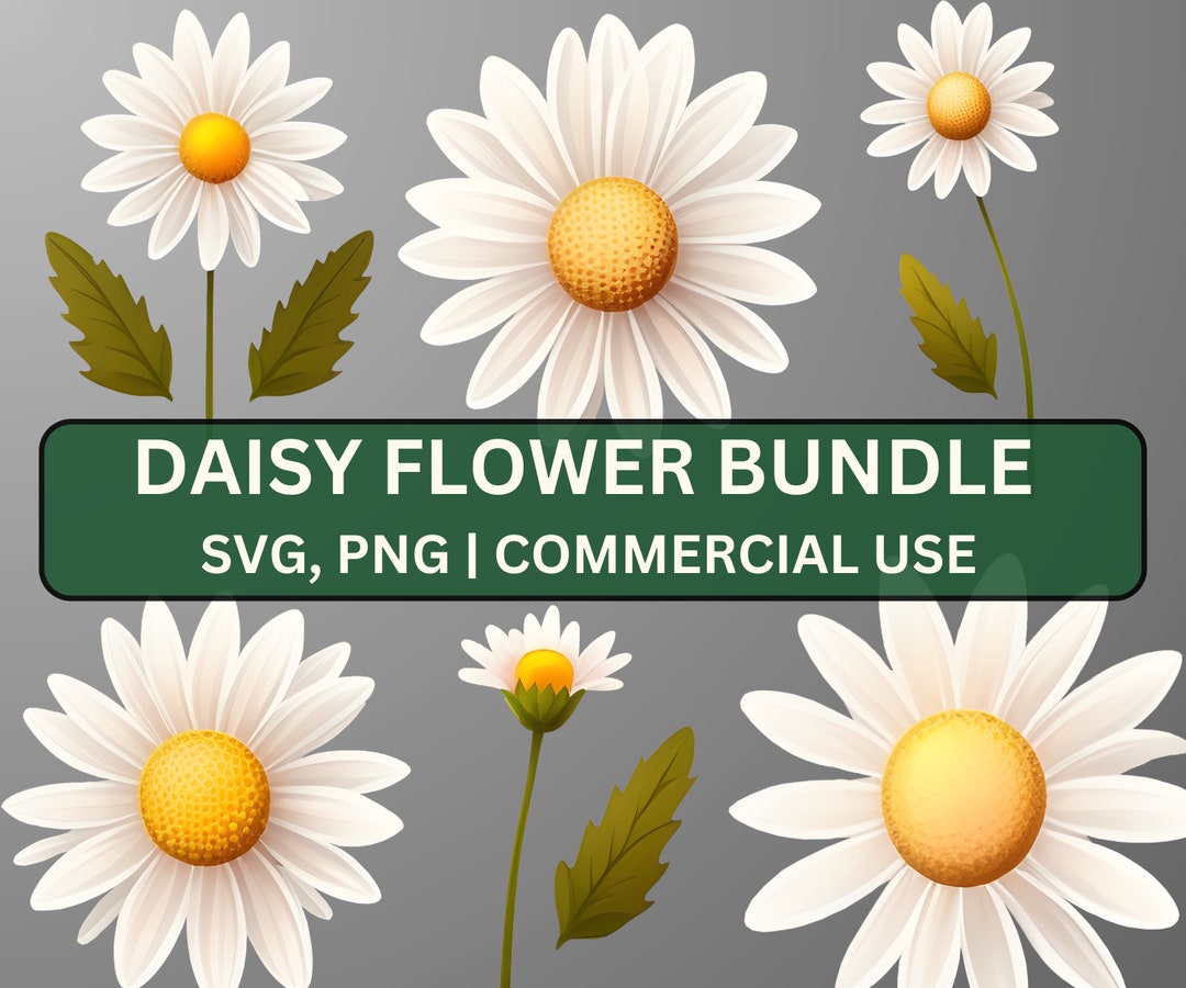 Daisy SVG Bundle, Daisy Flower Clipart, Daisy Realistic Svg, Daisies ...