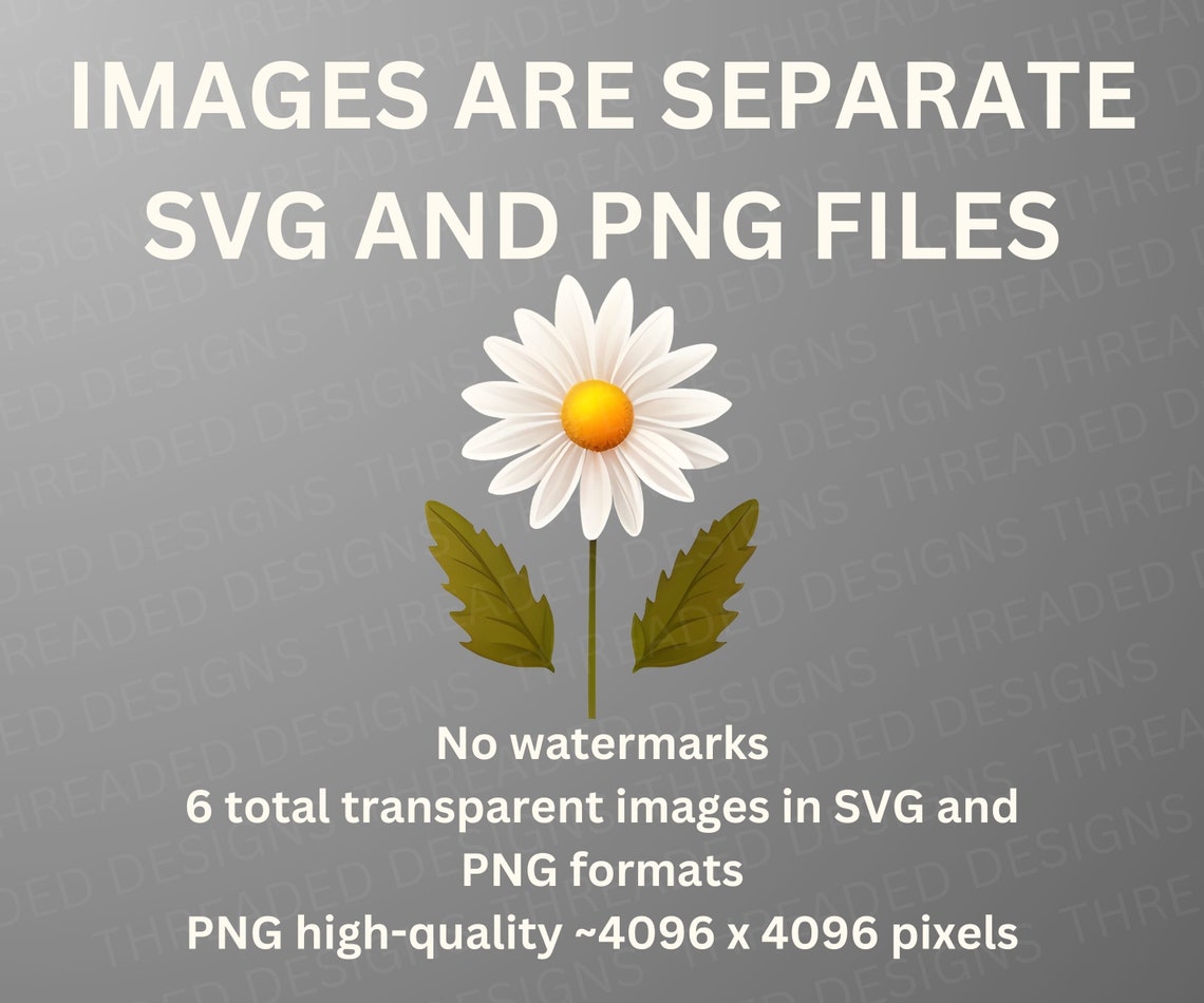 Daisy SVG Bundle, Daisy Flower Clipart, Daisy Realistic Svg, Daisies ...