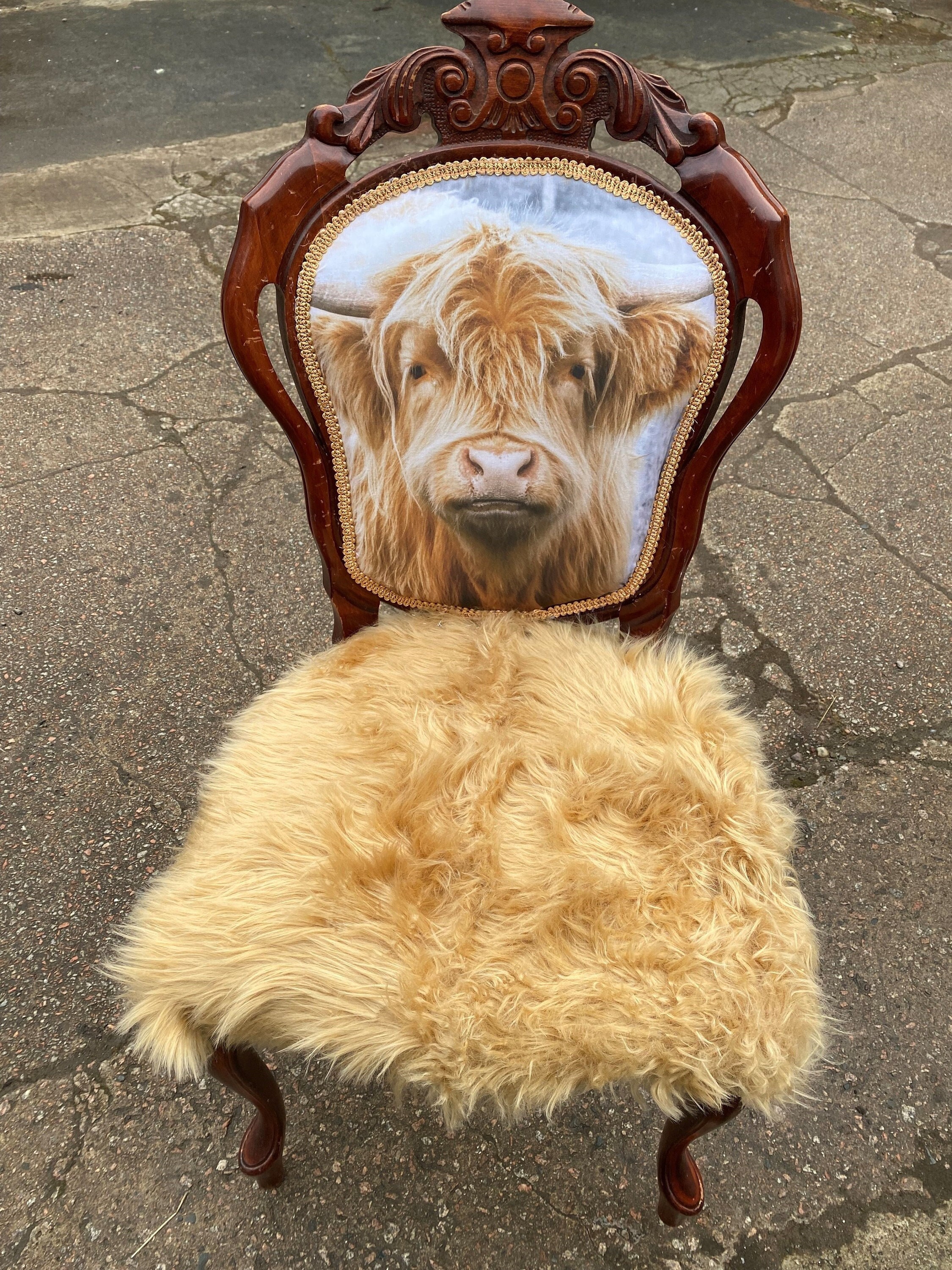 Highland Cow Chair - Etsy