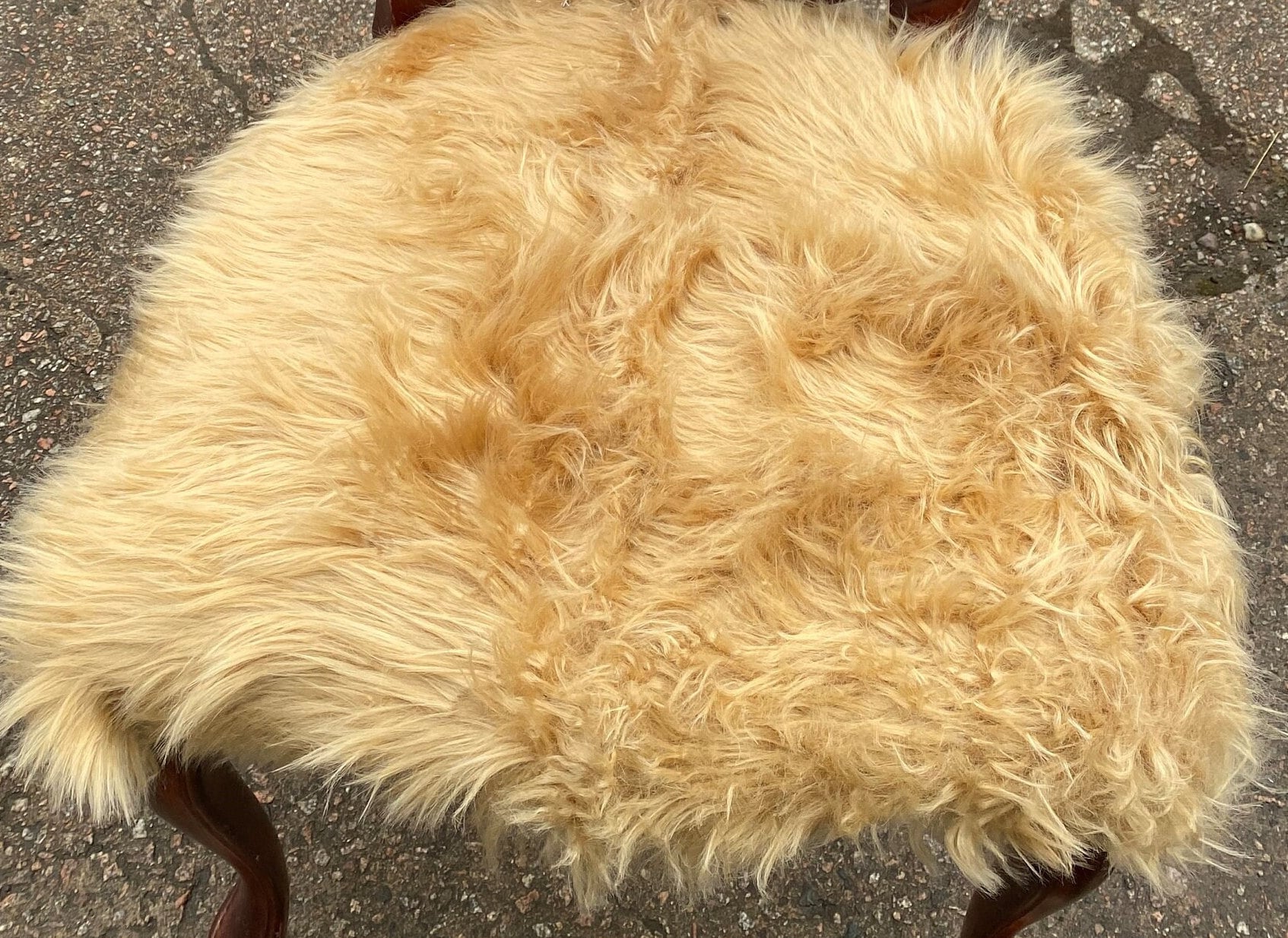 Highland Cow Chair - Etsy