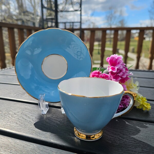 Robin Egg Blue - Etsy