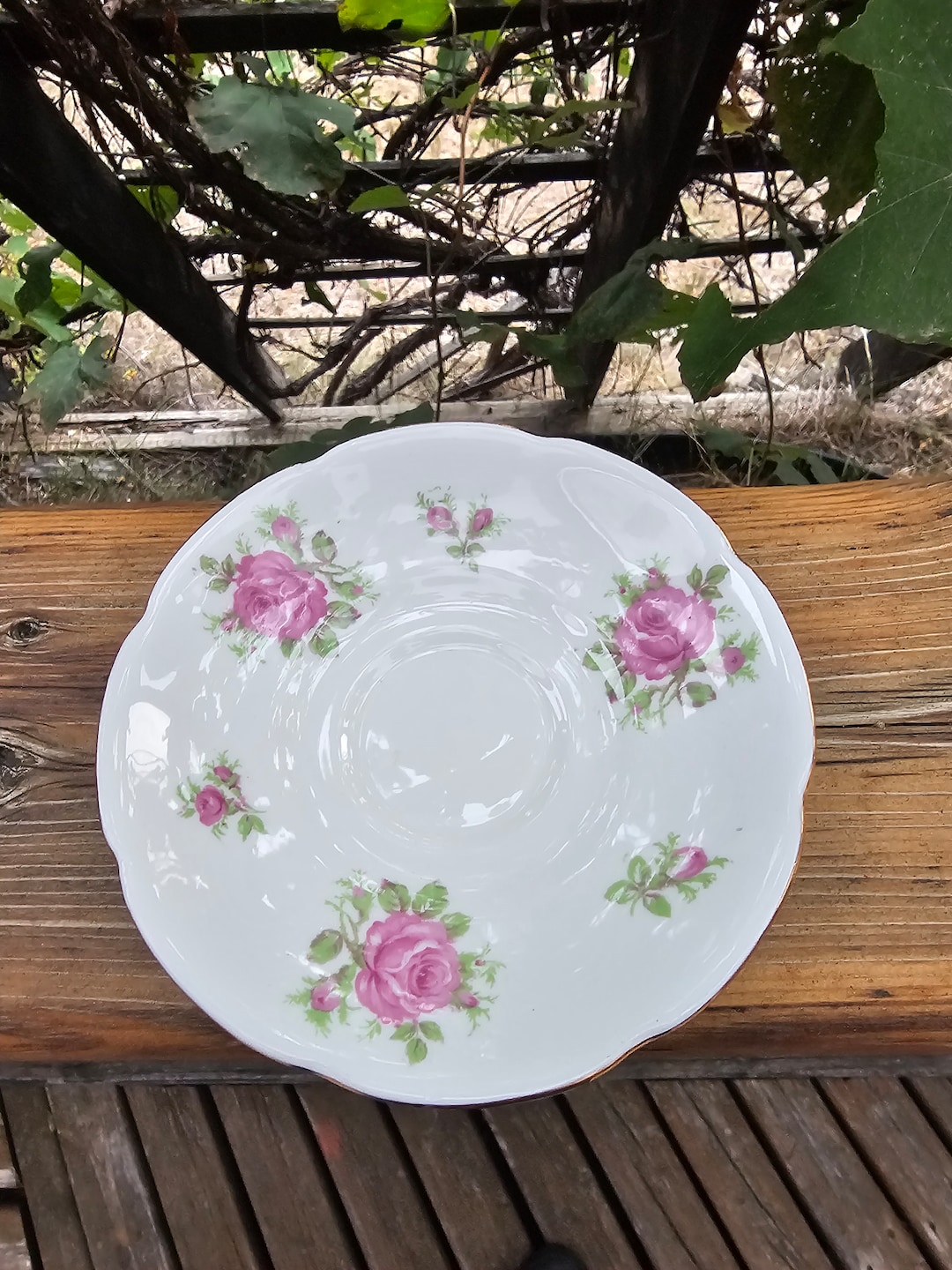Collingwood Bone China Floral Pink Roses Saucer ORPHAN SAUCER - Etsy