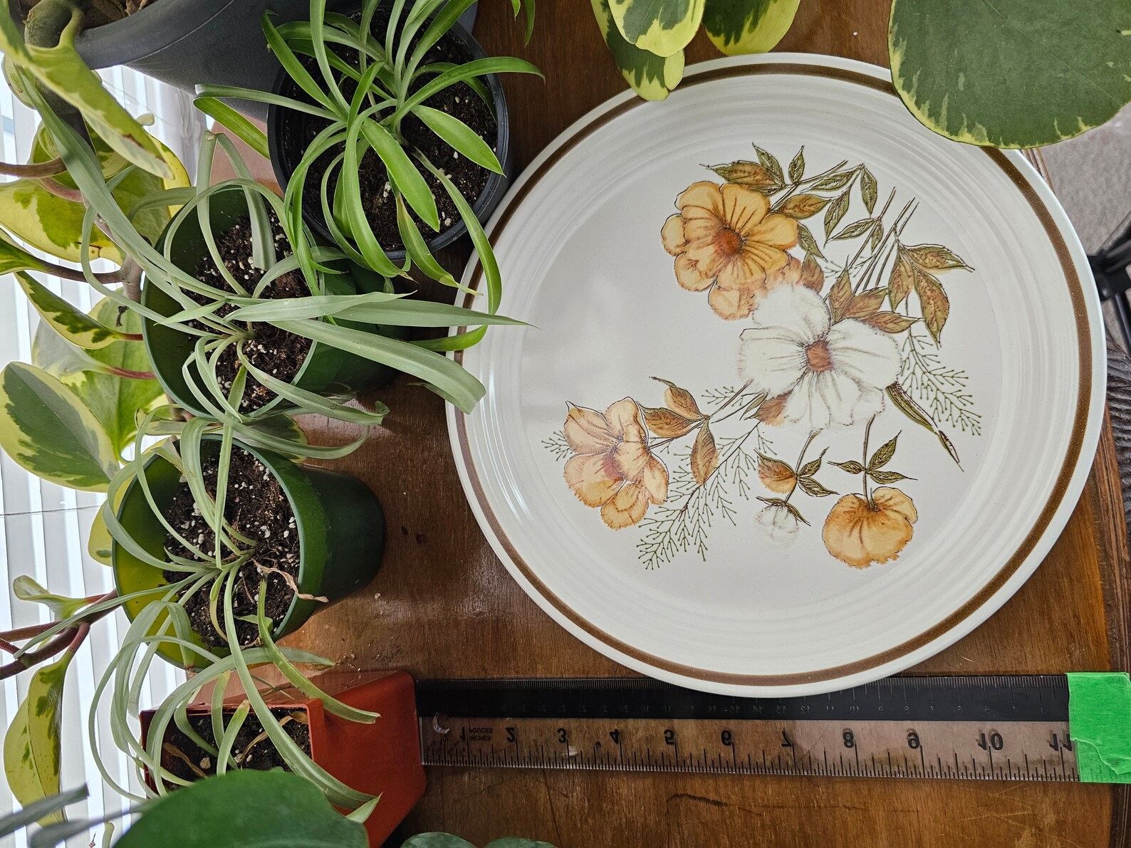 Vintage MCM Town & Country Mill Run Dinner Plate. Floral Ironstone ...