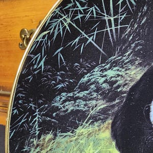 Vintage 1988 8 Panda Collector Plate. Artist Will Nelson the Panda last ...