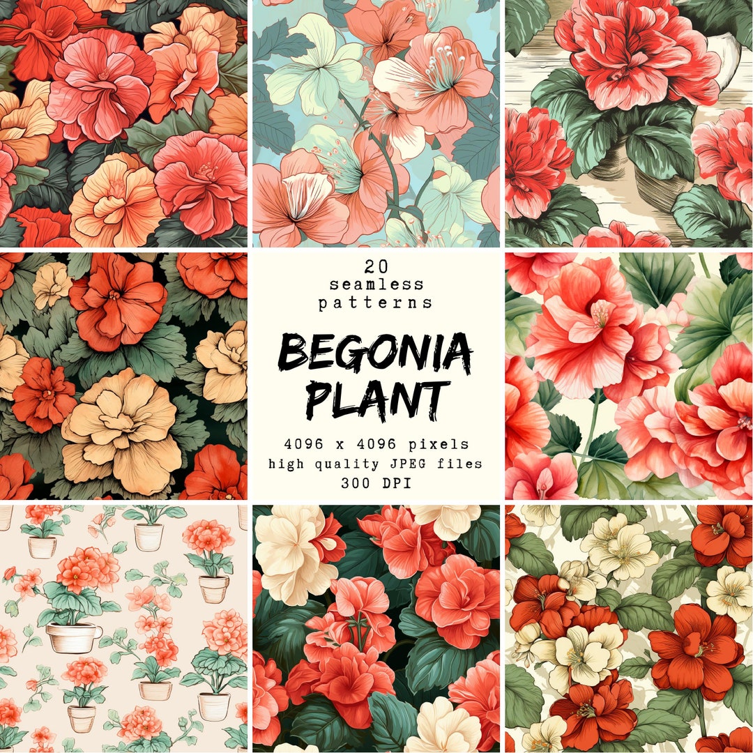 Begonia Pattern - Digital Paper - 20 Seamless Patterns for Crafts and ...