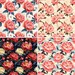 Peony Flower Digital Paper 20 Seamless Patterns for Crafts and ...