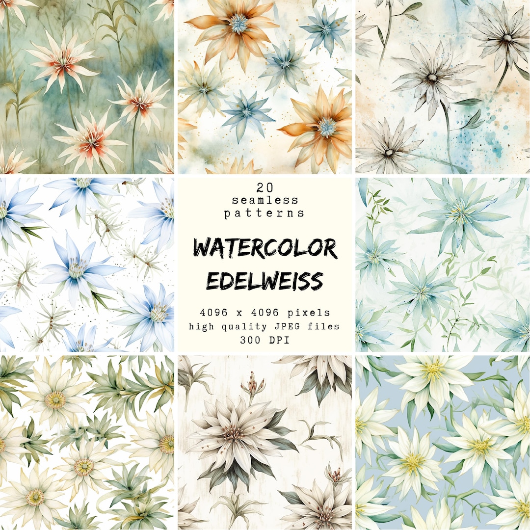 Watercolor Edelweiss Pattern: Seamless Digital Paper (20 Designs) - Etsy