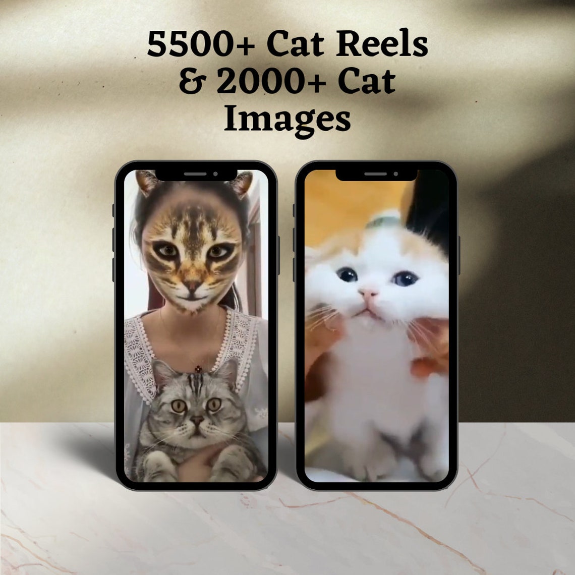 Buy 5500 Cat Reel & 2000 Cat Image Bundle Online in India - Etsy
