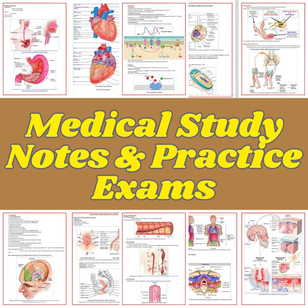 Nursing School Notes - Etsy