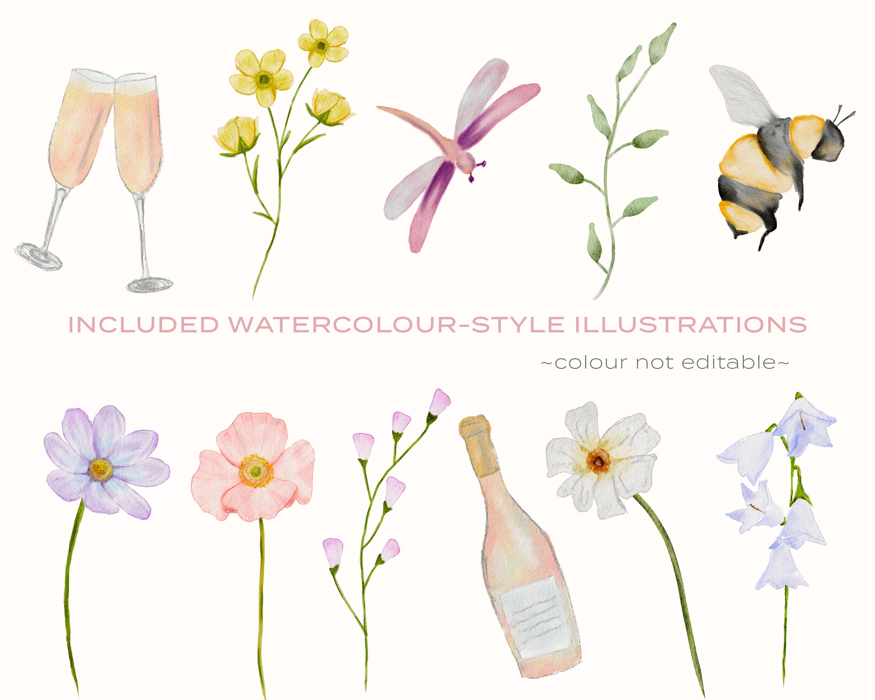 Wedding Program Template Handwritten Order of Service Painted ...