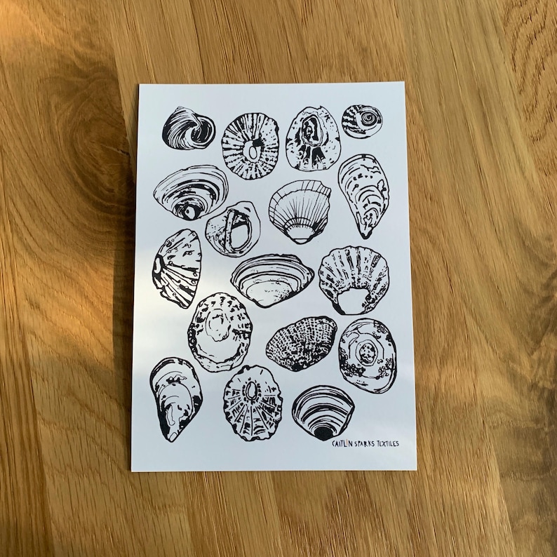 A5 Shell Pattern Print - Etsy
