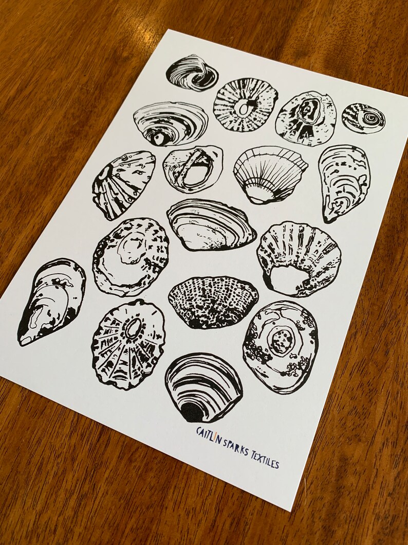 A5 Shell Pattern Print - Etsy