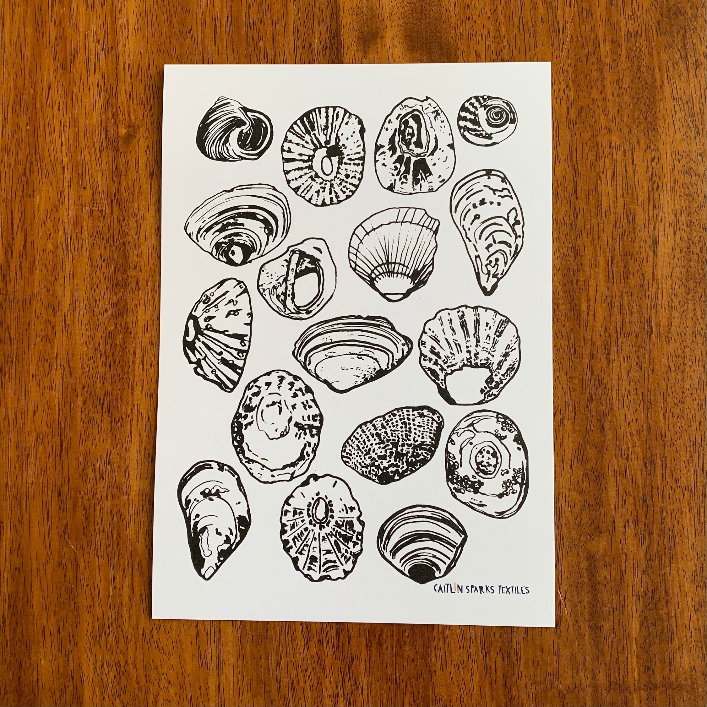 A5 Shell Pattern Print - Etsy